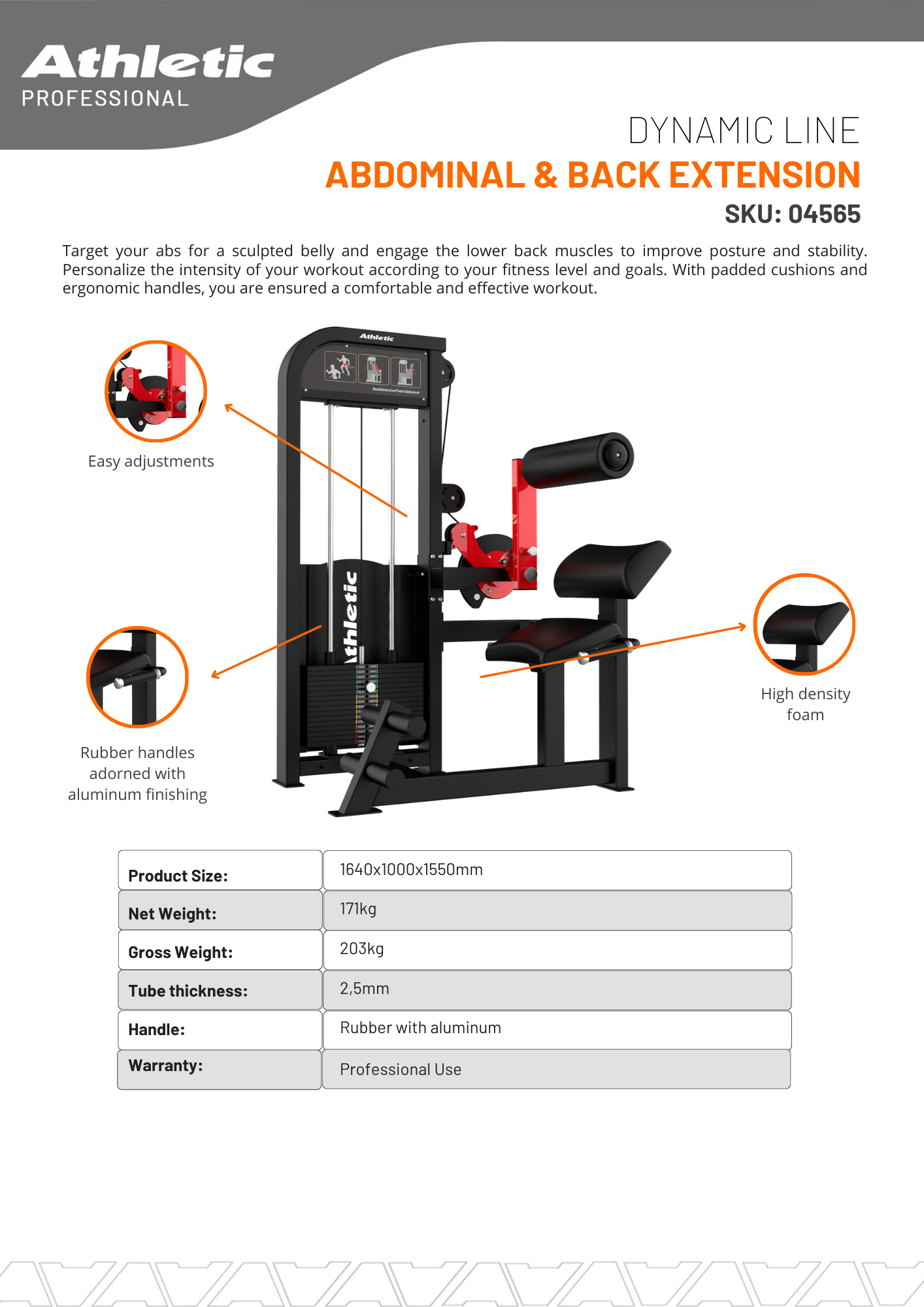 DYNAMIC LINE - ABDOMINAL & BACK EXTENSION